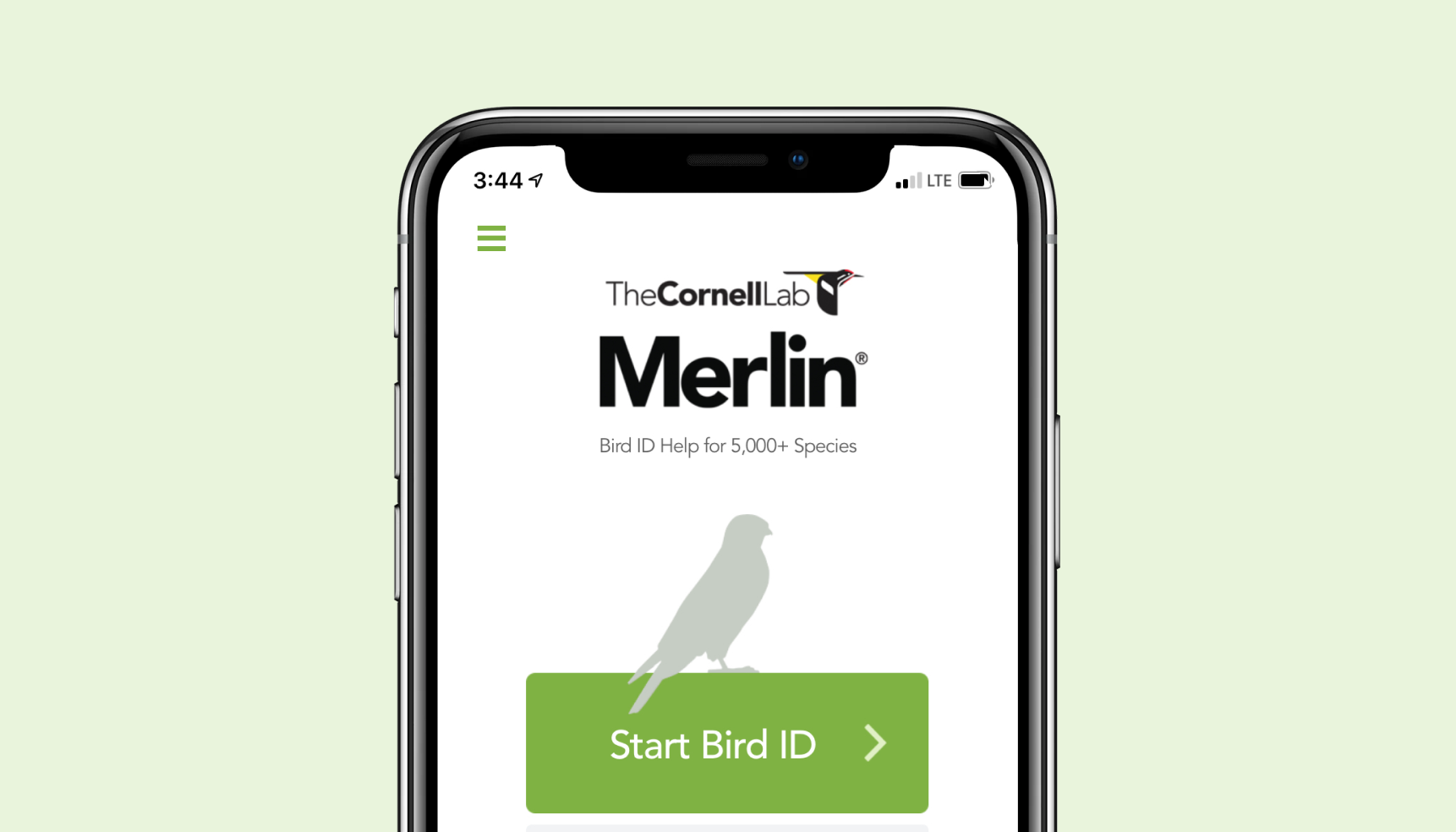 Download Merlin Bird ID For IOS And Android Merlin Bird ID Free