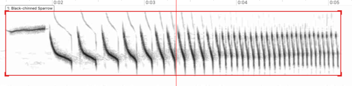 Merlin Sound ID: Project Overview – Merlin Bird ID – Free, instant bird ...