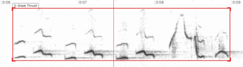 ¡Únete al proyecto de Merlin Sound ID! – Merlin Bird ID – Free, instant ...