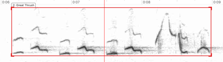 ¡Únete al proyecto de Merlin Sound ID! – Merlin Bird ID – Free, instant ...