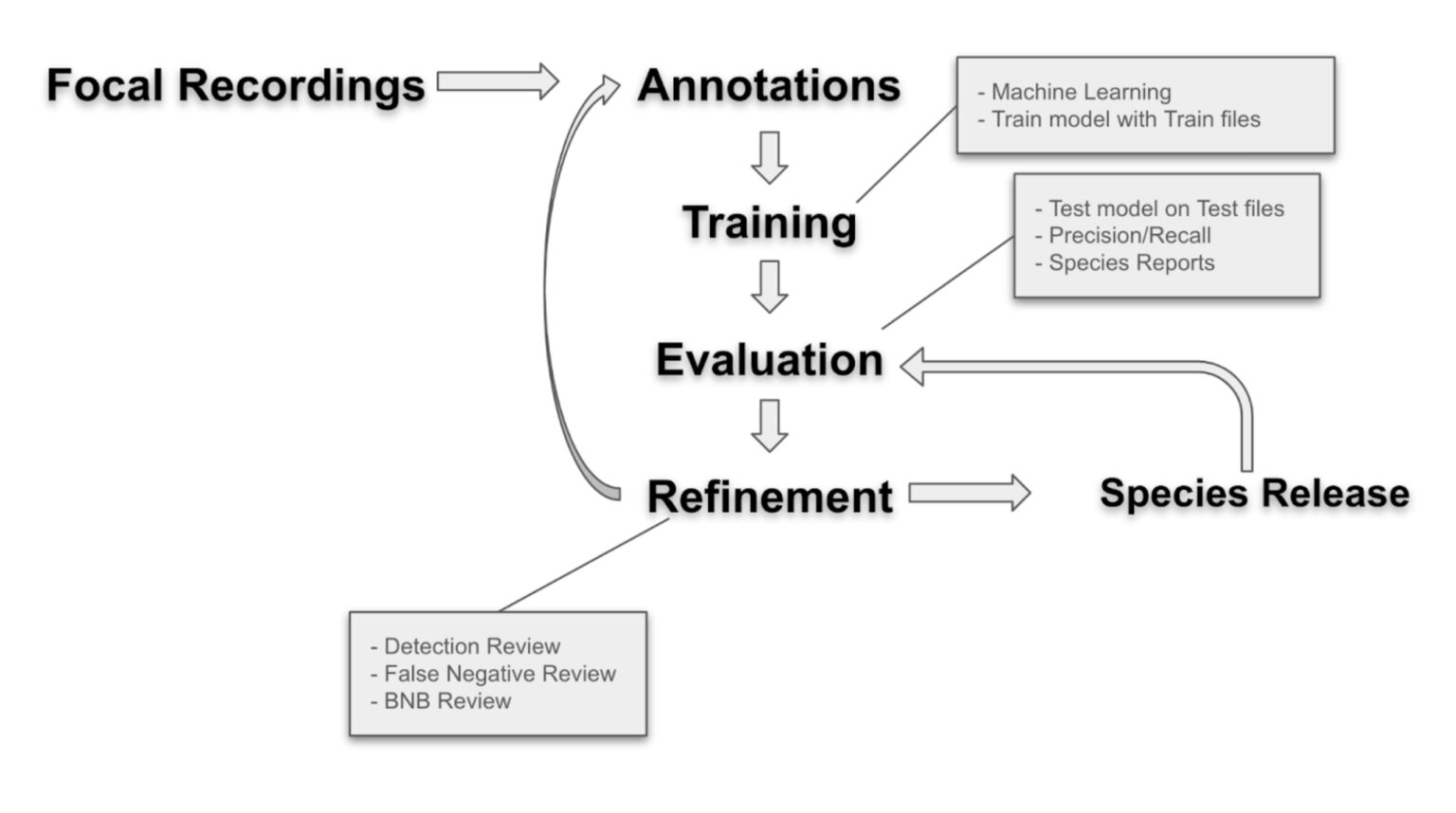 Merlin Sound ID: Project Overview – Merlin Bird ID – Free, instant bird ...