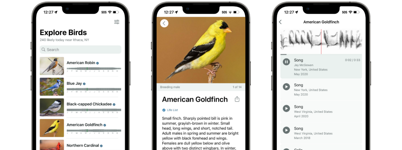 Merlin Bird ID – Free, instant bird identification help and guide for ...