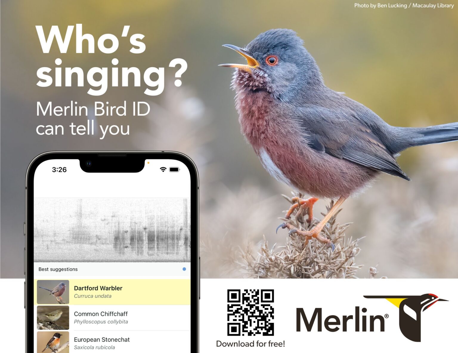 Posters and Resources – Merlin Bird ID – Free, instant bird ...