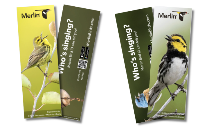 Posters and Resources – Merlin Bird ID – Free, instant bird ...